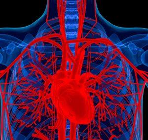 Arterial and venous duplex scan - Care Center
